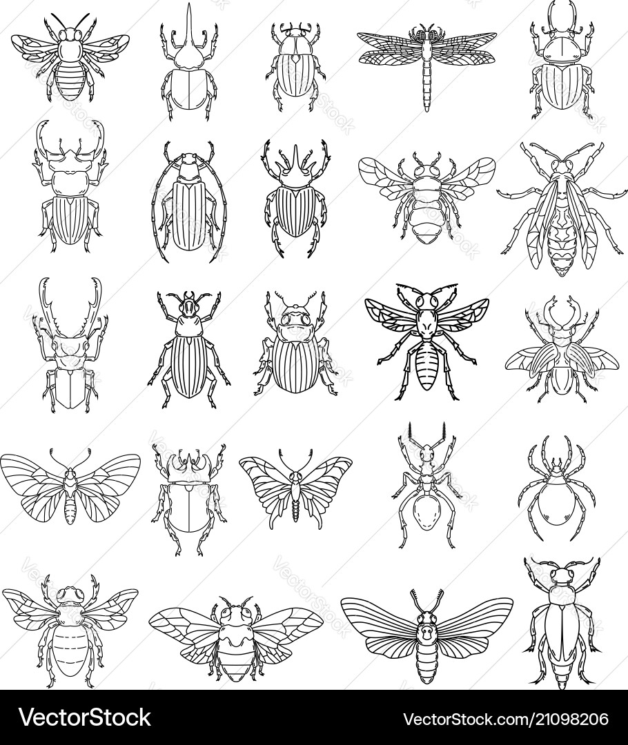 Ladybird Line Drawing Vector Images (over 700)