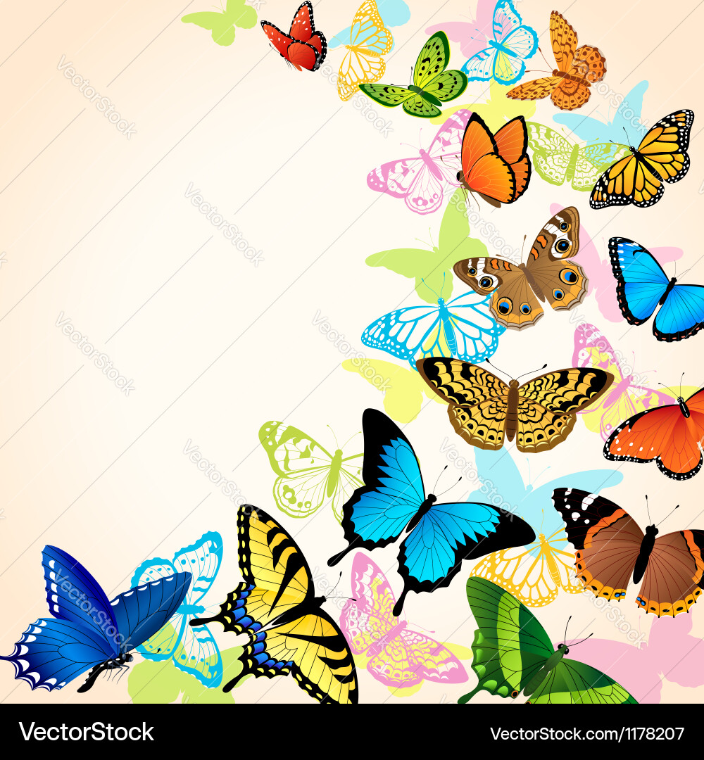 Colorful Butterfly Background Royalty Free Vector Image