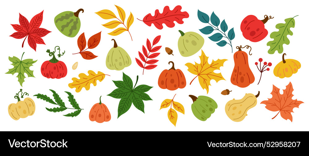 Squash Cartoon Vector Images (over 9,900)