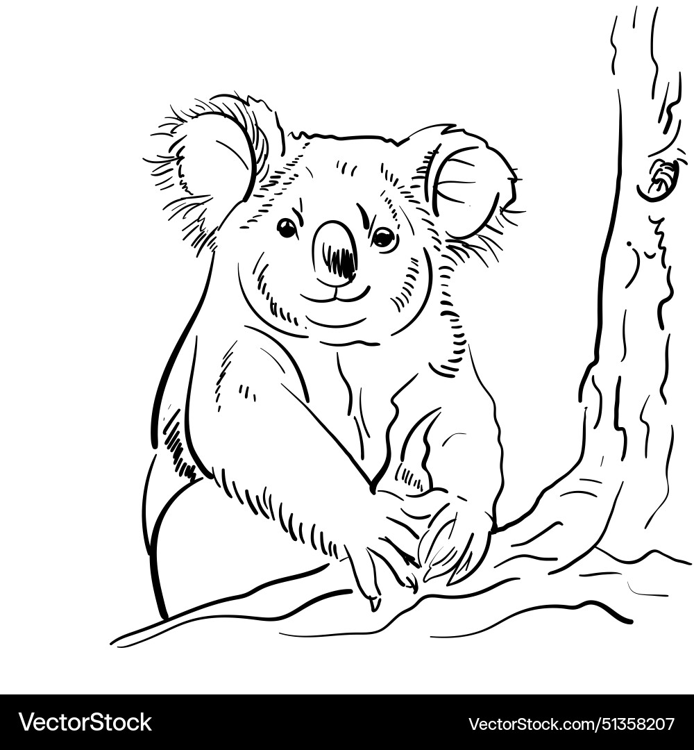 Koala Outline Vector Images (over 2,100)