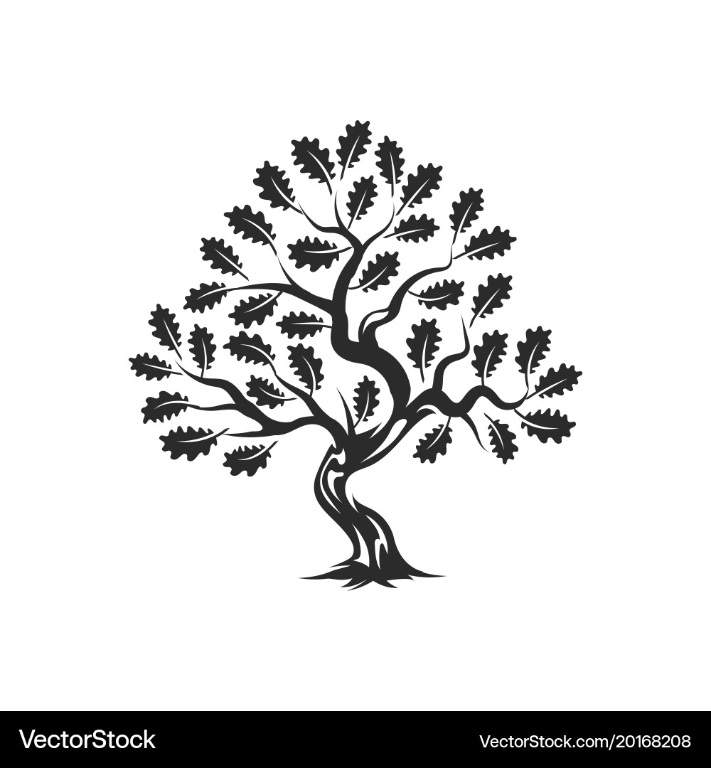 Huge and sacred oak tree silhouette logo badge Vector Image