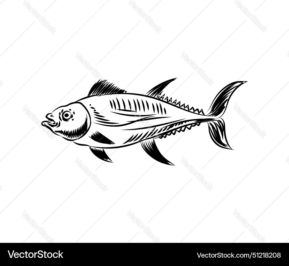 Tuna hand drawing engraving tunny seafood fish Vector Image
