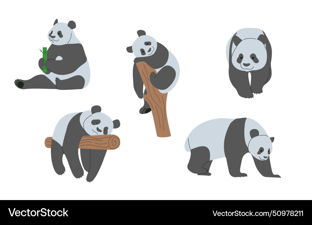 Panda 1 Royalty Free Vector Image - VectorStock