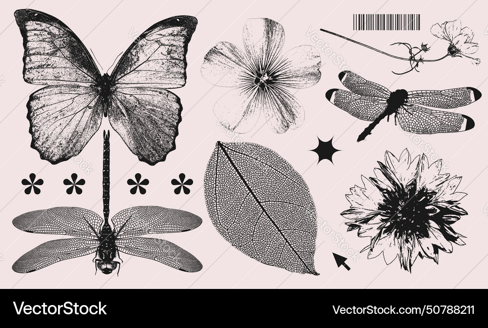 Retro photocopy effect summer nature elements Vector Image