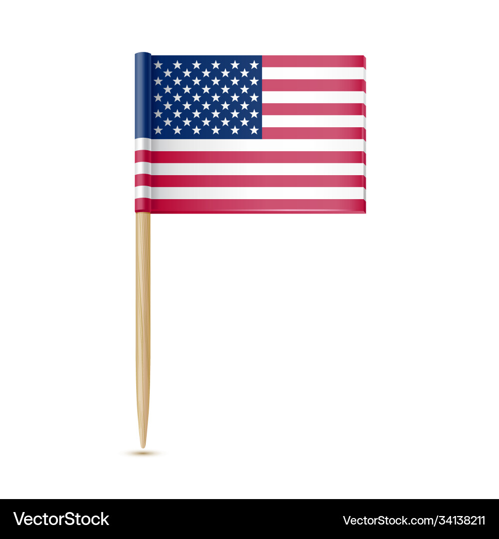 Usa flag toothpick isolated on white background Vector Image