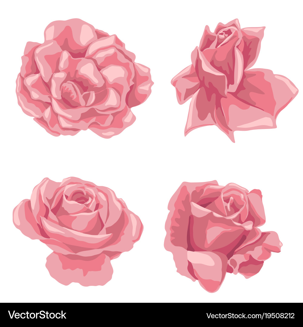 Drawing flowers Royalty Free Vector Image - VectorStock