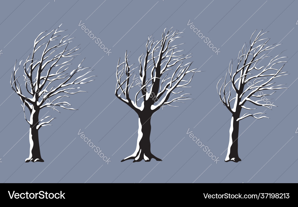 Set snow covered old trees on wind Royalty Free Vector Image