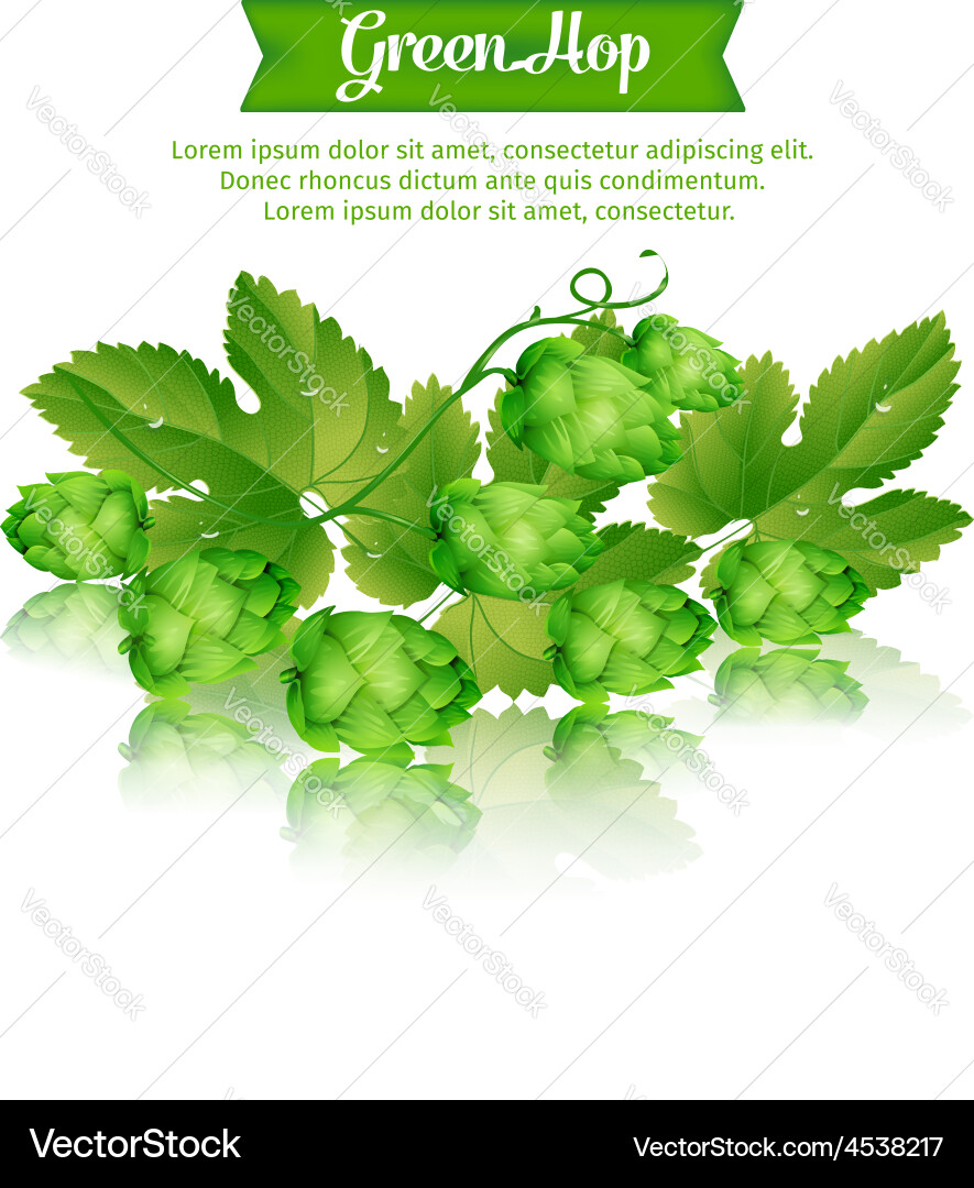1green hop Royalty Free Vector Image - VectorStock