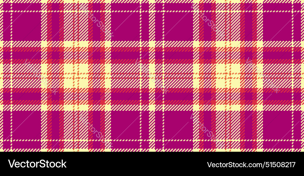 African tartan fabric texture t-shirt pattern Vector Image