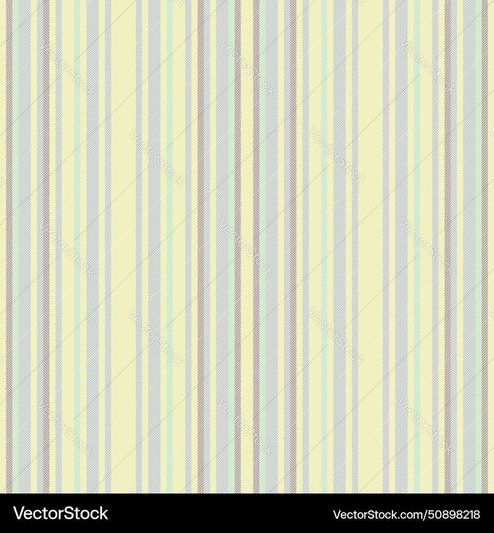 Geometric texture lines scenery textile stripe Vector Image