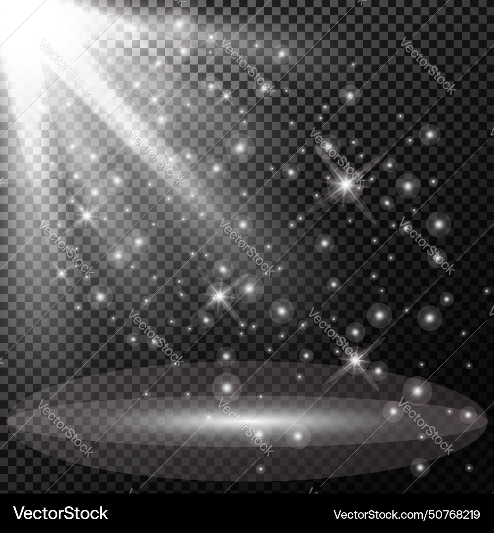 Lights shining on transparent background Vector Image