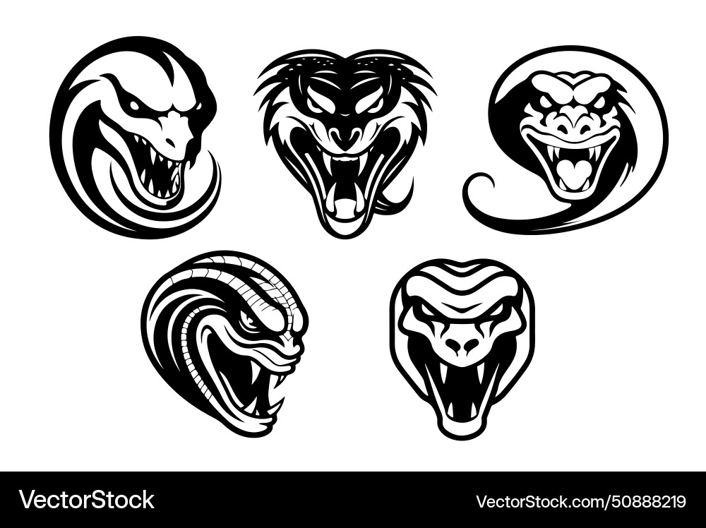 Snake set Royalty Free Vector Image - VectorStock
