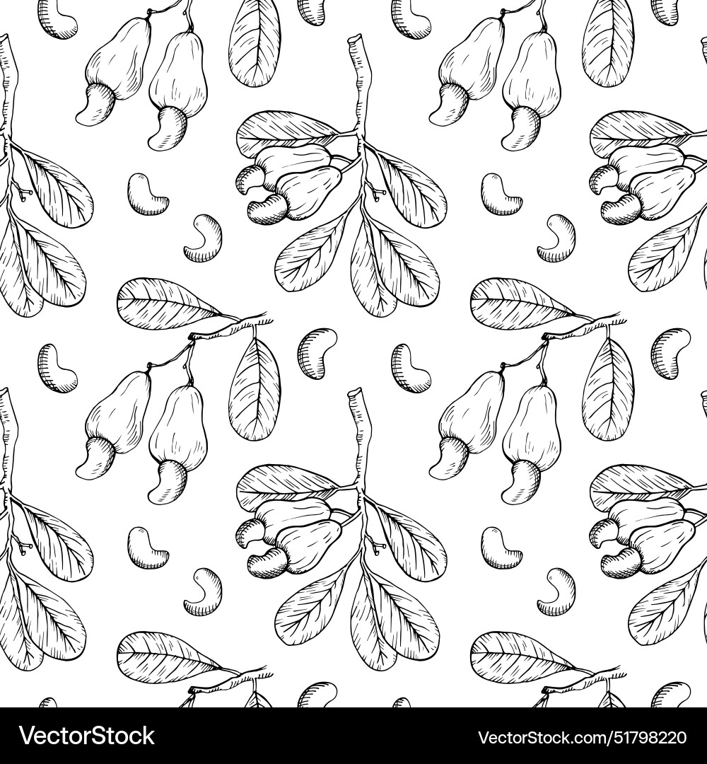 Cashew nuts seamless pattern Royalty Free Vector Image
