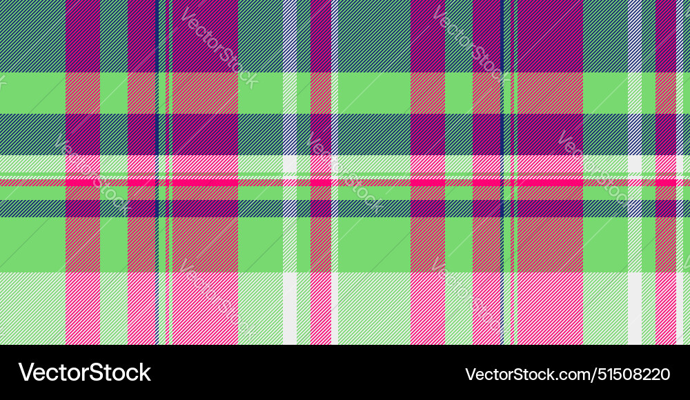 Native fabric tartan texture season plaid Vector Image