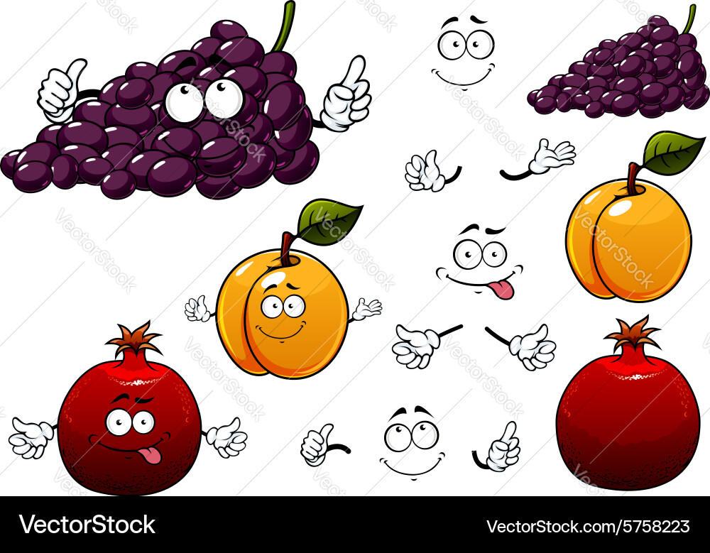 Grape apricot and pomegranate fruits Royalty Free Vector