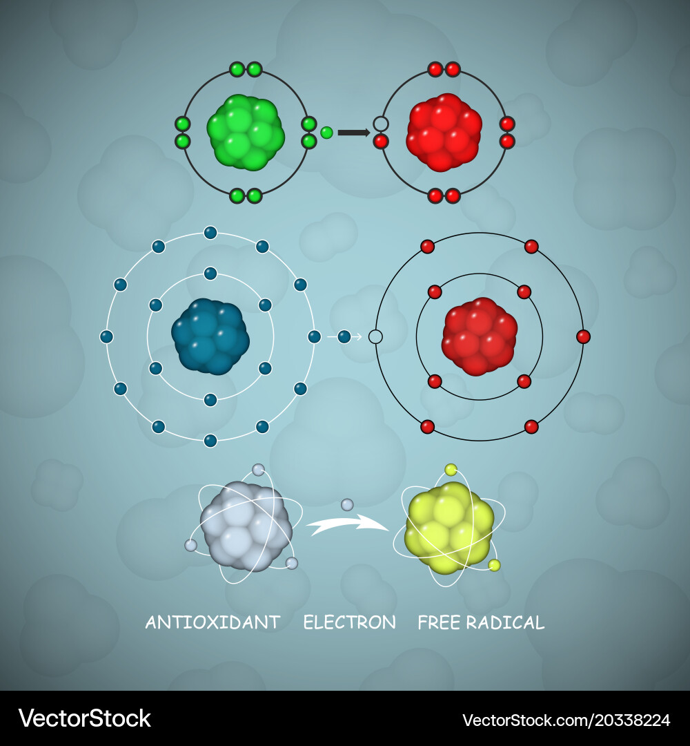 Antioxidant Free Radical Chemistry Royalty Free Vector Image