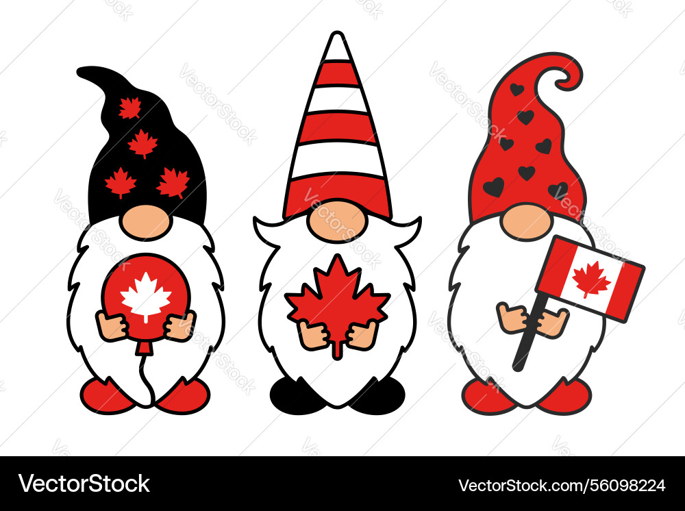 Canada day gnomes with maple leaf cute canadian Vector Image
