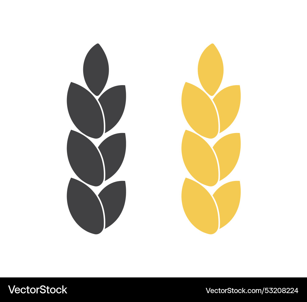Rice icon wheats rye ears barley field Royalty Free Vector