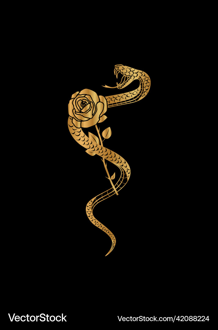 Snake and rose gold Royalty Free Vector Image - VectorStock