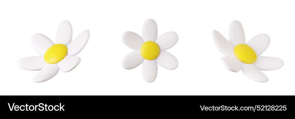 3d colorful daisy flower Royalty Free Vector Image