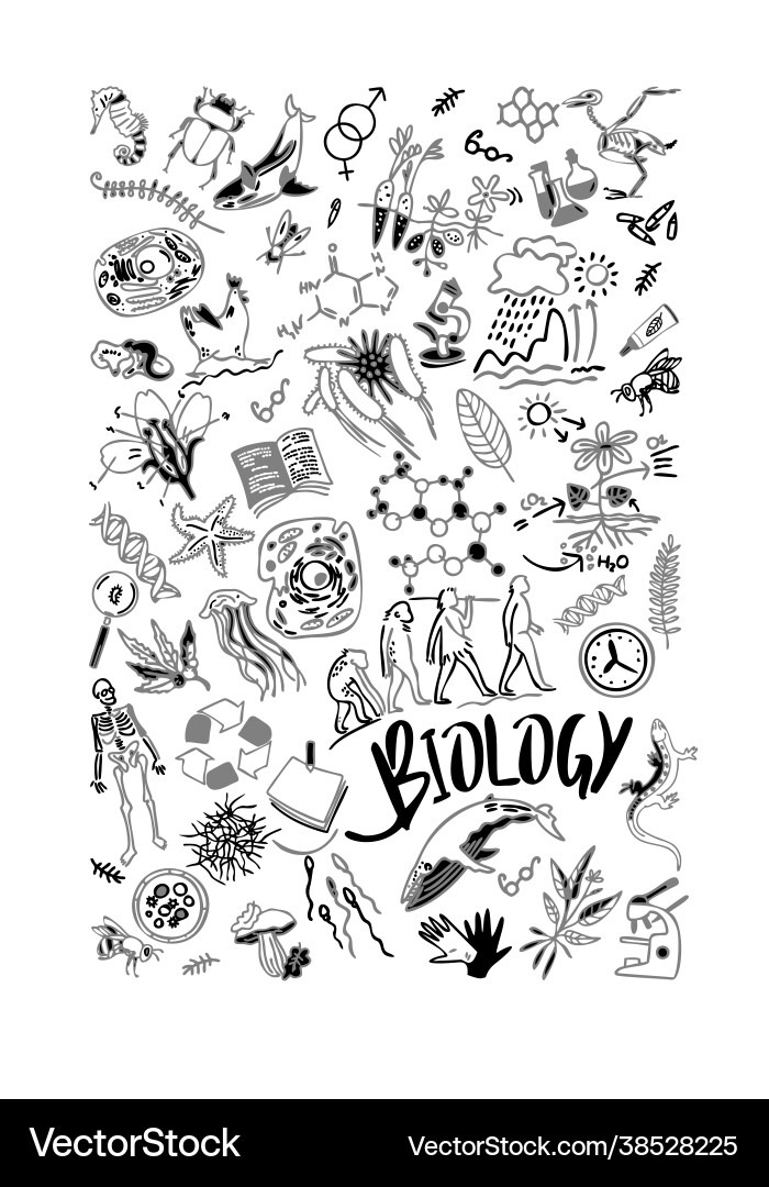Hand drawn biological doodle set Royalty Free Vector Image
