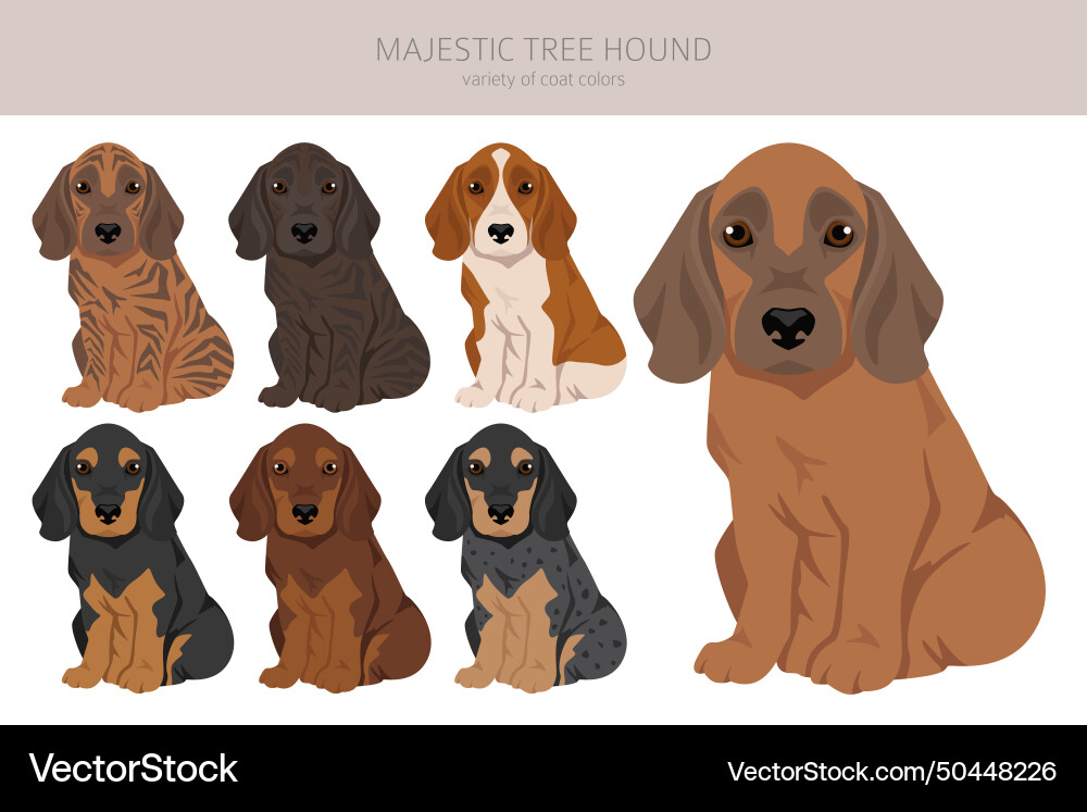 2 Royalty Free Vector Image - VectorStock
