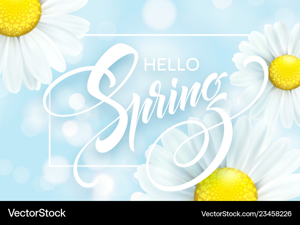 Daisy flower background and hello spring lettering