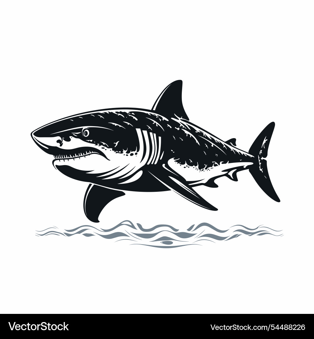 Shark swimming gracefully in ocean waters Vector Image
