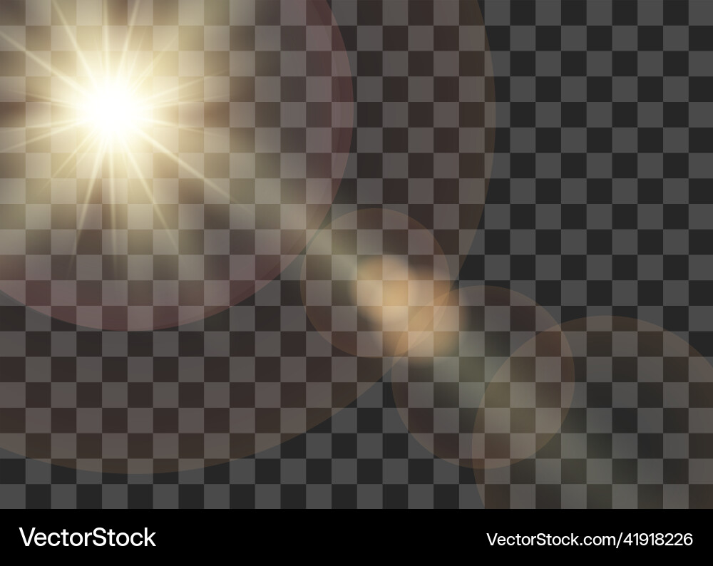 Transparent sun light special lens flare Vector Image