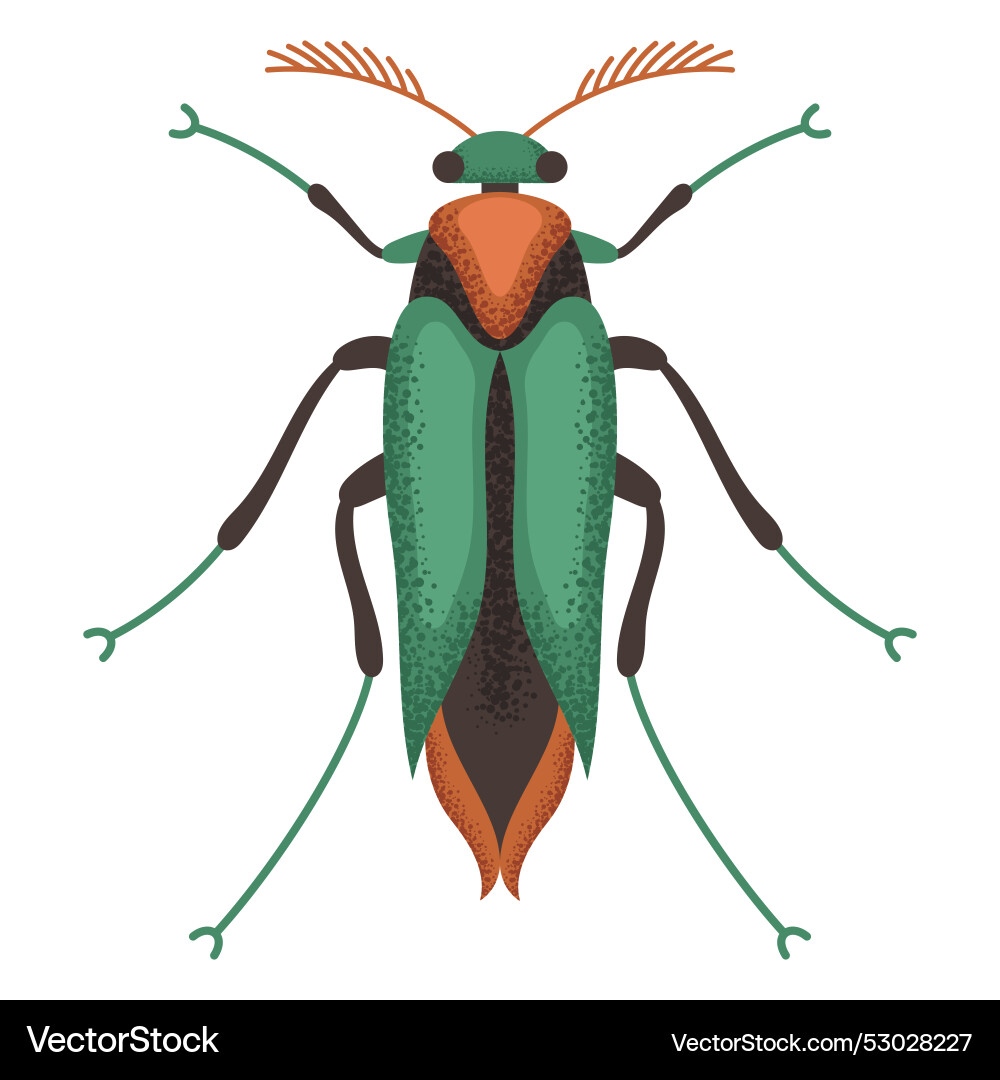 Grasshopper Royalty Free Vector Image - VectorStock