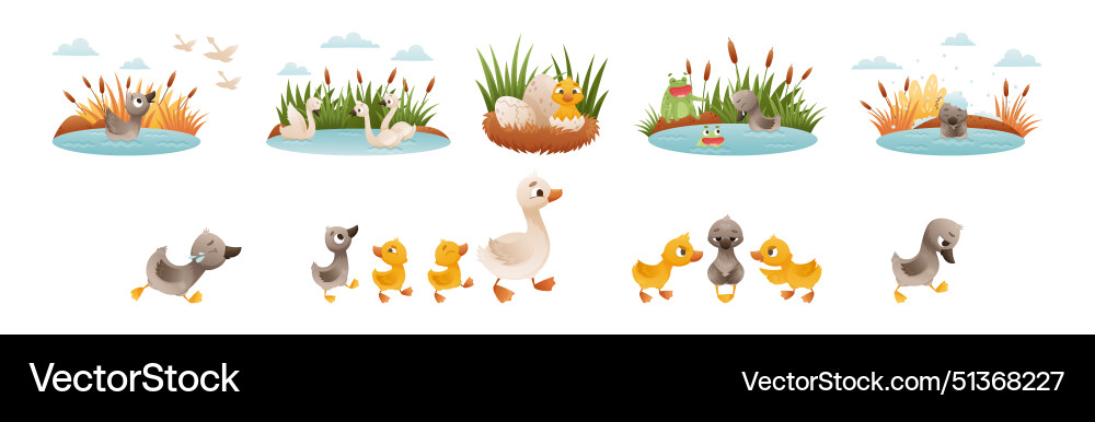 Ugly duckling fairy tale with little birdie Vector Image