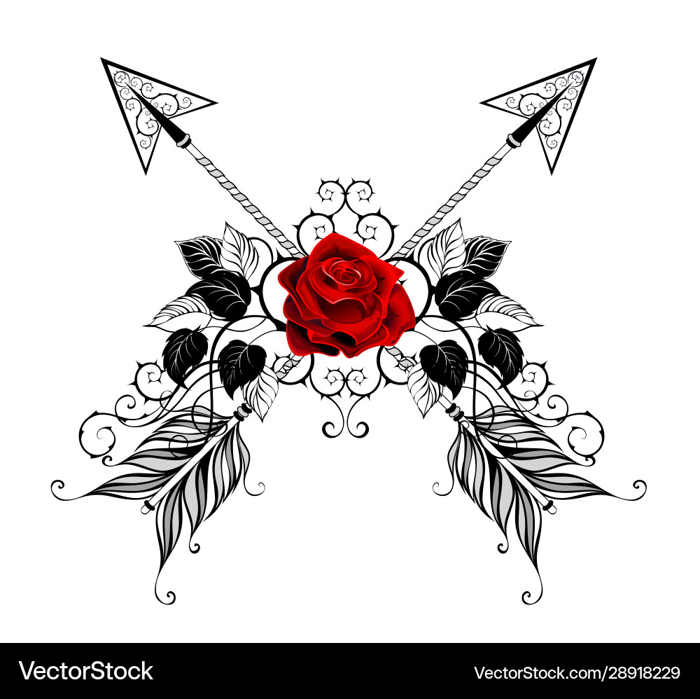 Black arrows with red roses Royalty Free Vector Image