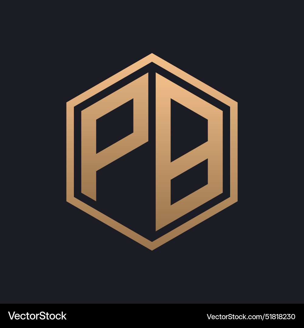Elegant hexagon letter pb logo design initial Vector Image