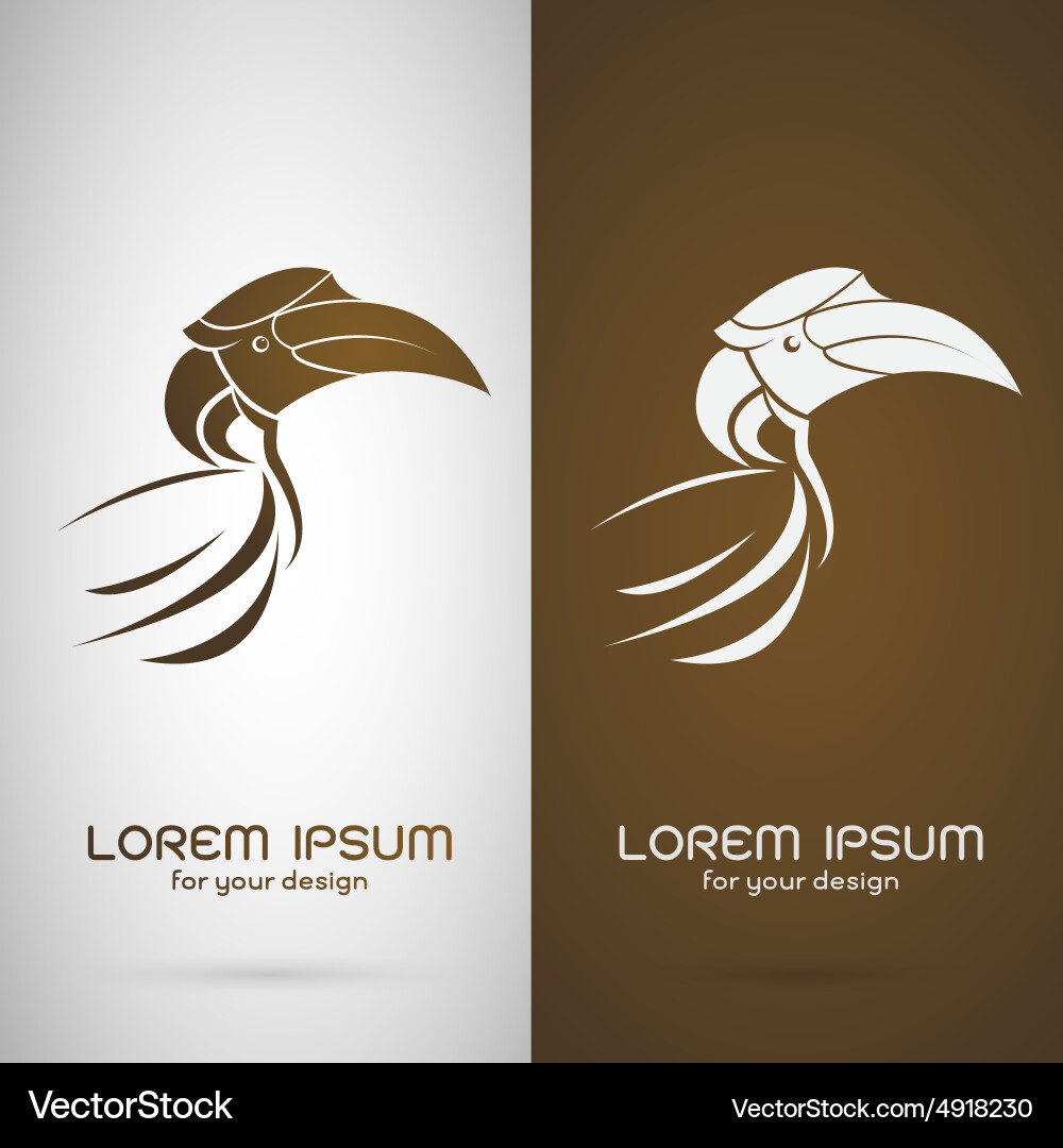 Hornbill Royalty Free Vector Image - VectorStock