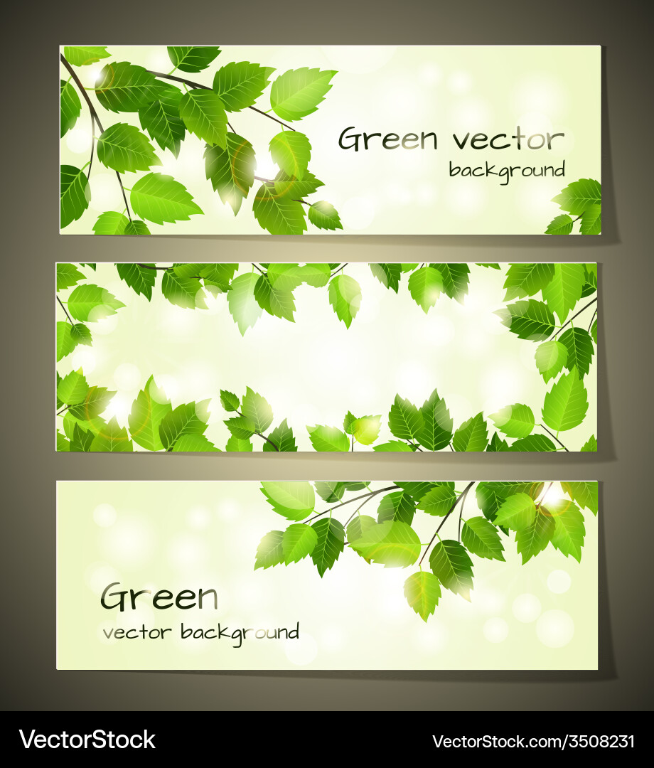 Green leaves banners Royalty Free Vector Image