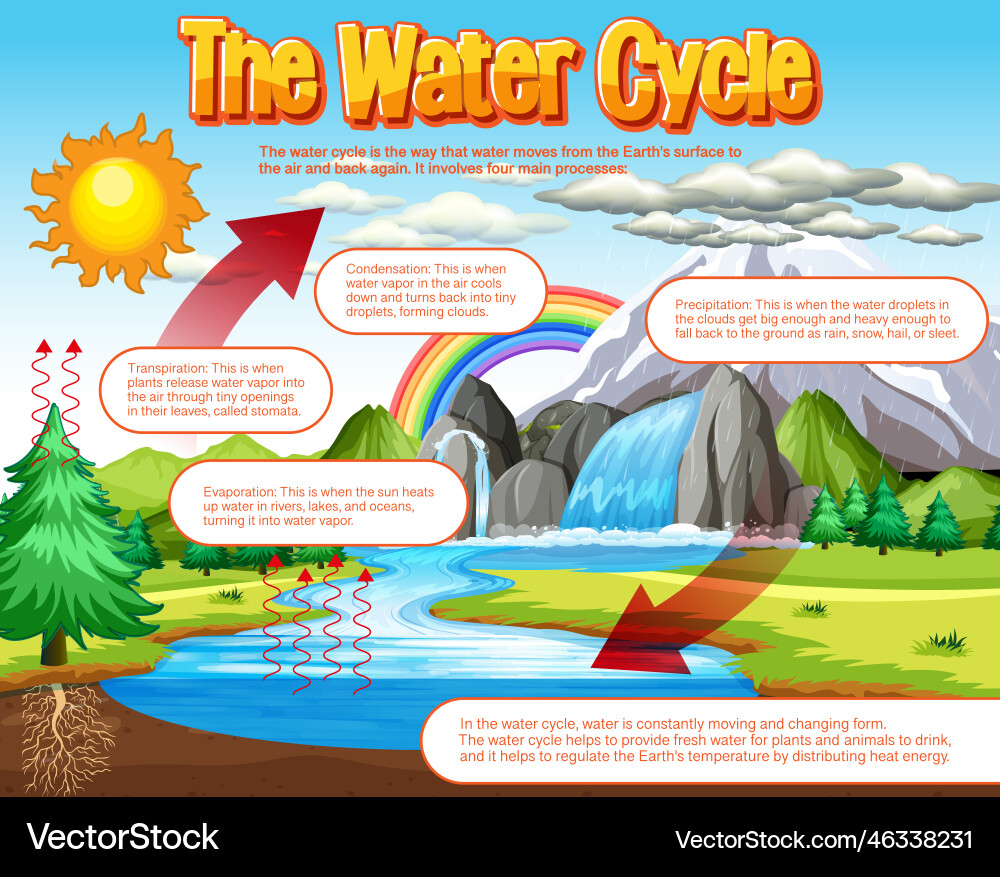 Water cycle diagram for science education Vector Image