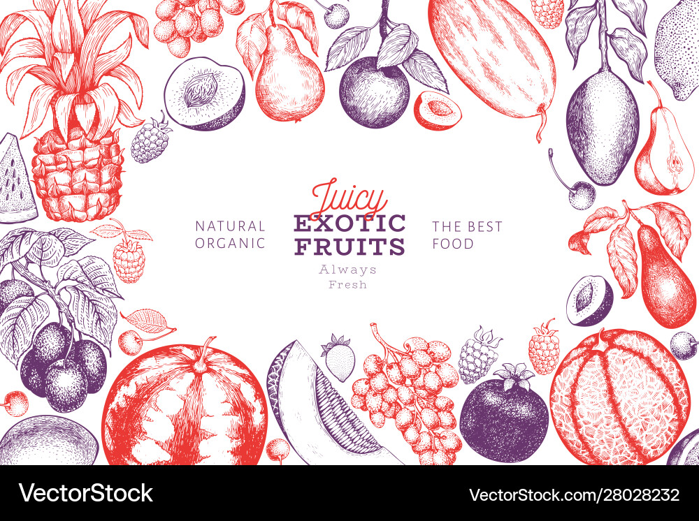 Fruits and berries design template hand drawn Vector Image