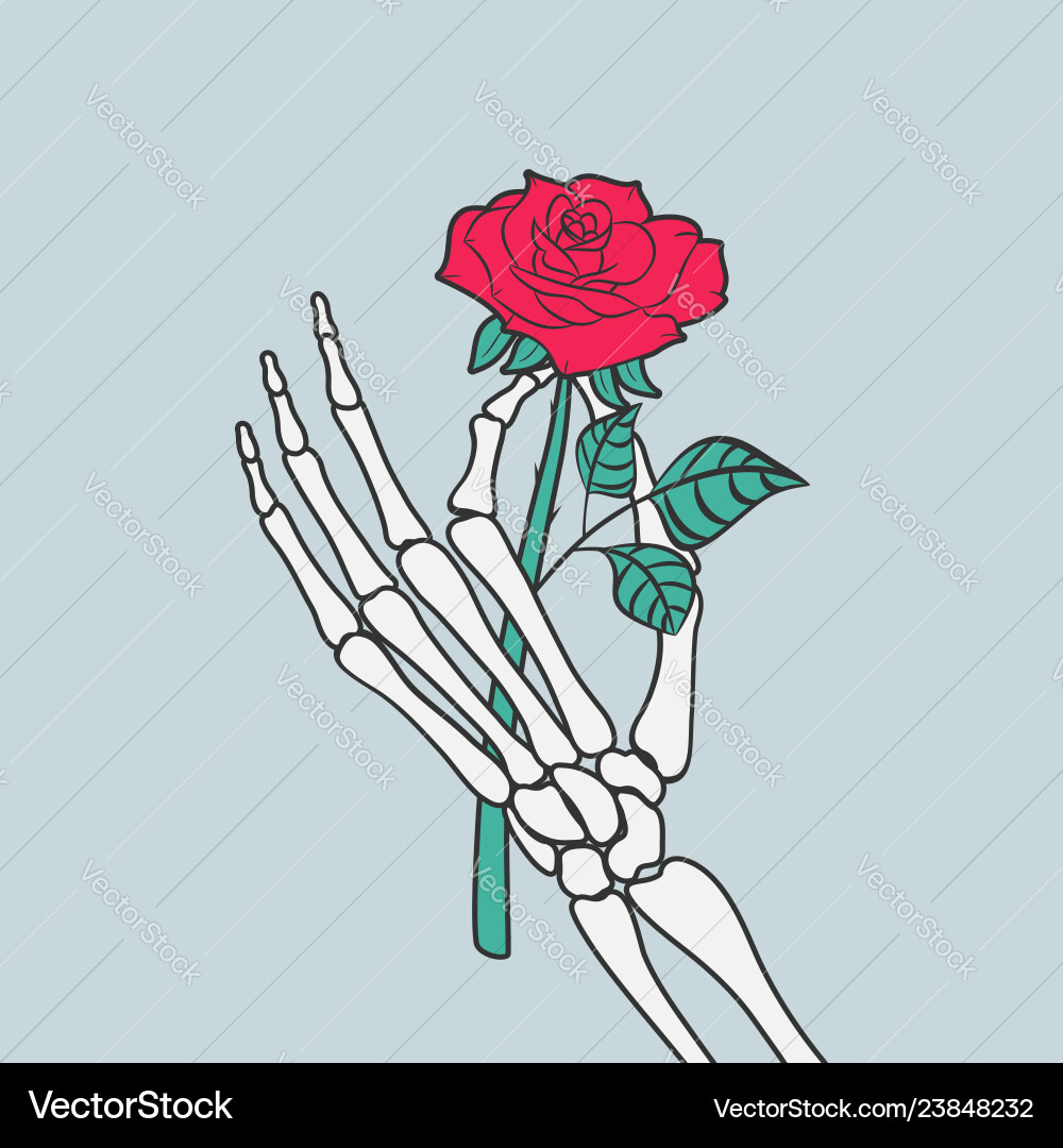 Rose flower in skeleton hand Royalty Free Vector Image