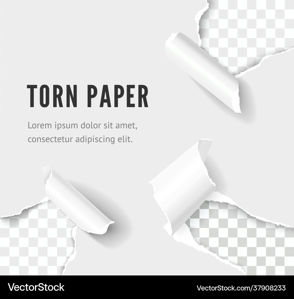 Rip paper corner set realistic Royalty Free Vector Image