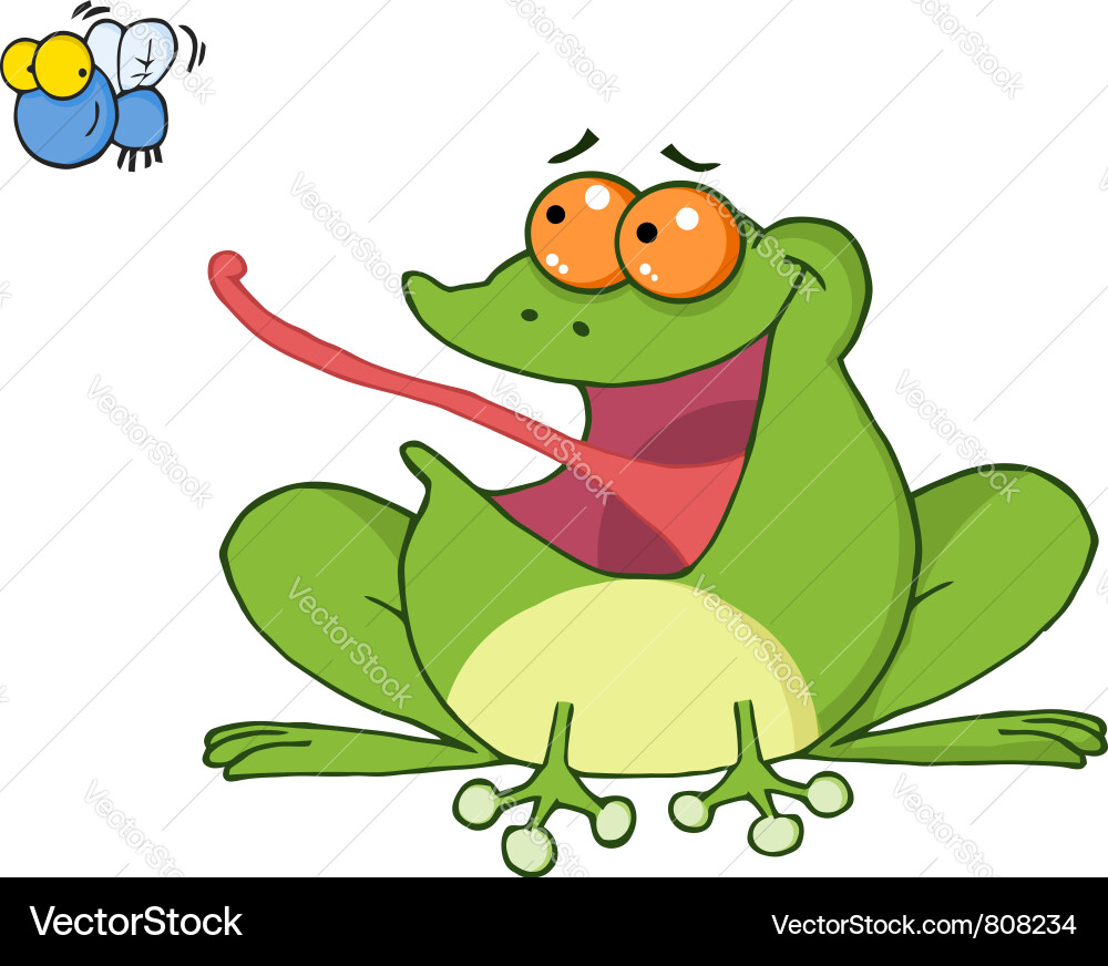 Frog catching a fly Royalty Free Vector Image - VectorStock