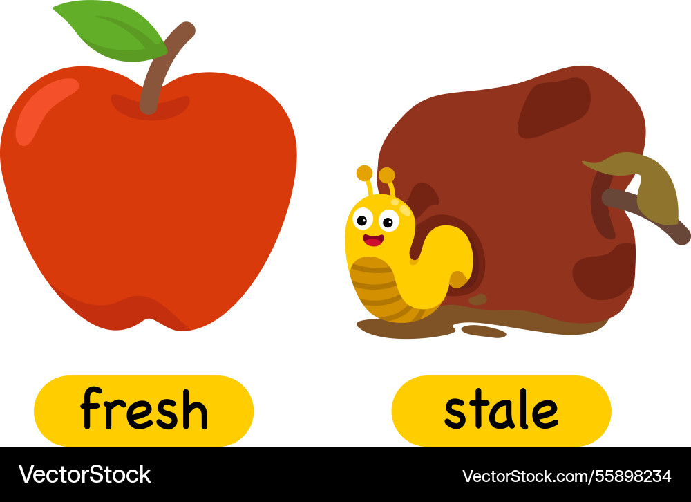 Opposite words fresh and stale Royalty Free Vector Image