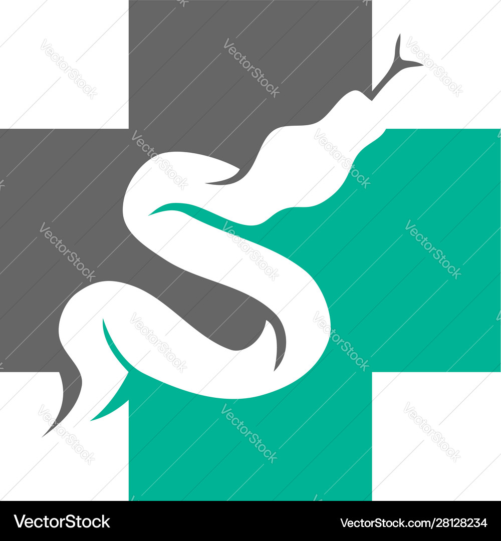 Snake Health Logo Vorlage Design isoliert Vektorbild