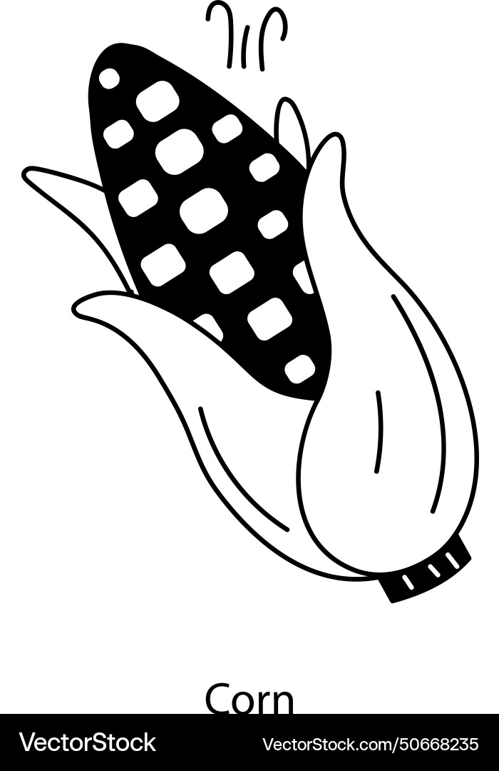 Corn Royalty Free Vector Image - VectorStock