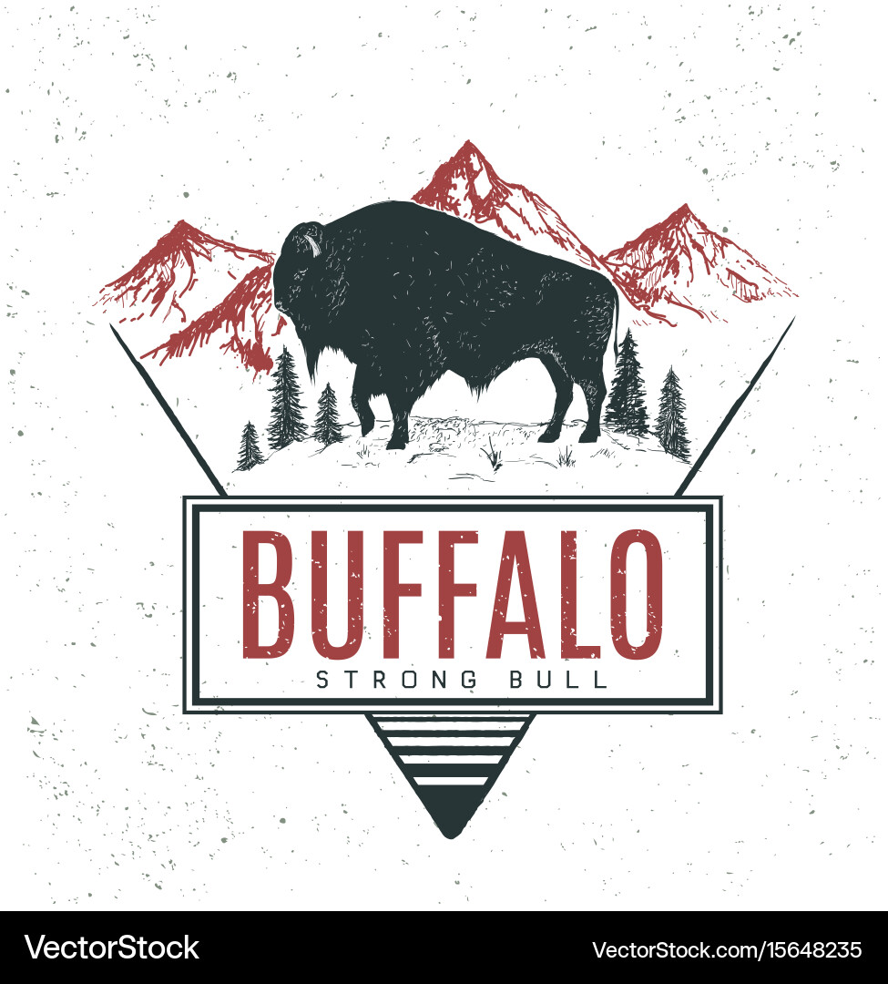 Rustic Bull Buffalo Logo Royalty Free Vector Image