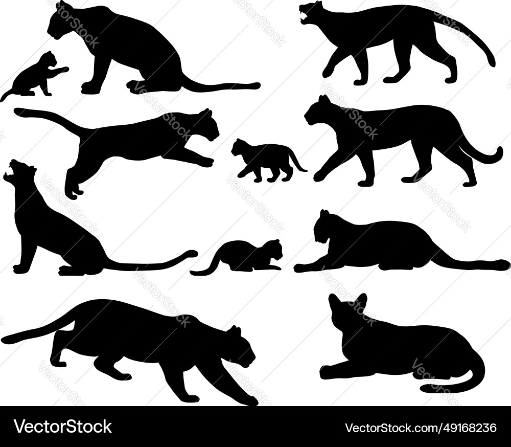 Cougar Outline Vector Images (over 2,700)