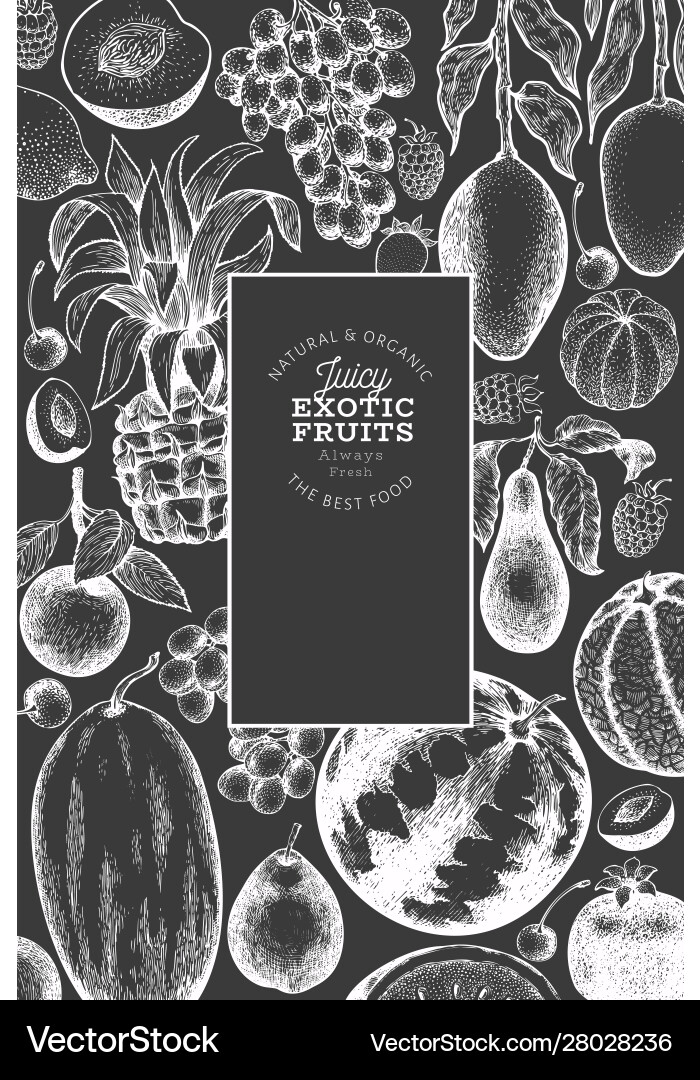 Fruits and berries design template hand drawn Vector Image