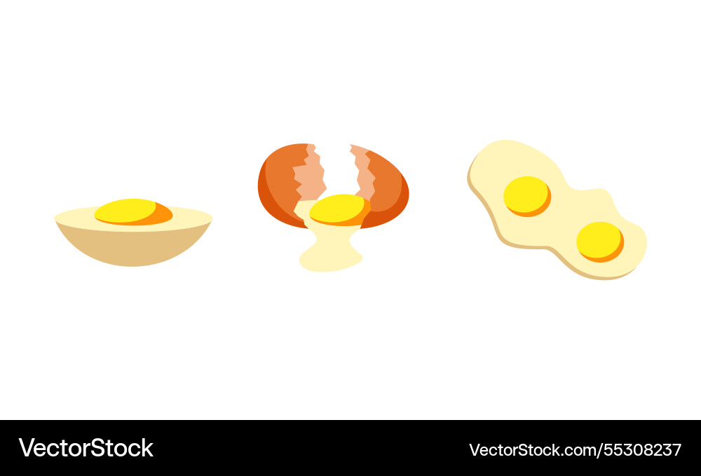 Egg sets in various forms raw boiled and fried Vector Image