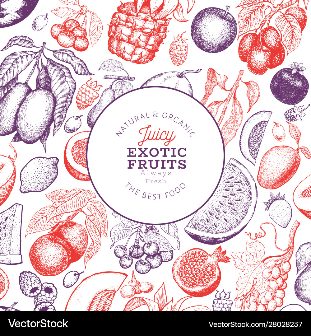 Fruits and berries design template hand drawn Vector Image