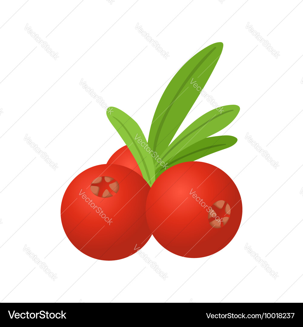 Rowan icon cartoon style Royalty Free Vector Image