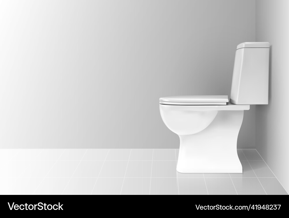White toilet bowl in bathroom ceramic side Vector Image